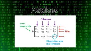 Matrices: Introducción y Conceptos Básicos - Matematicas