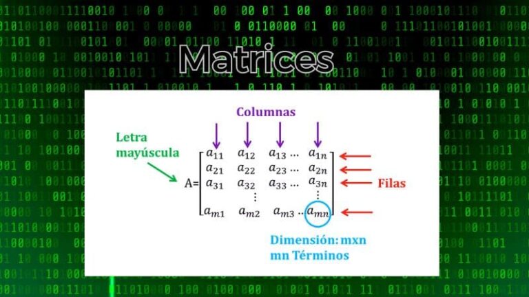Matrices: Introducción y Conceptos Básicos - Matematicas
